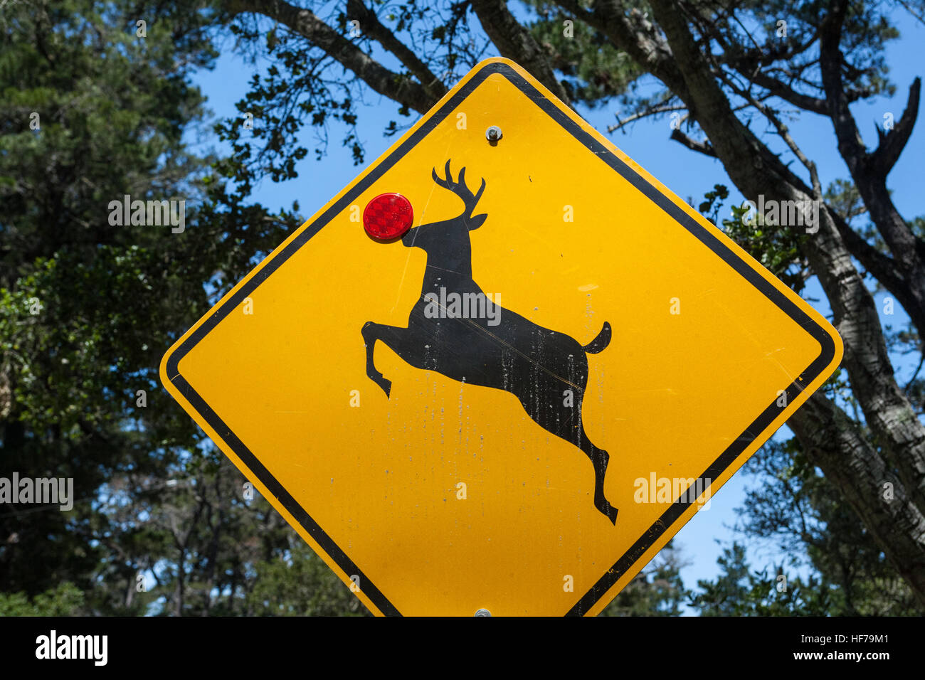 Deer road sign with addition of red nose(Rudolph at Christmas) National ...
