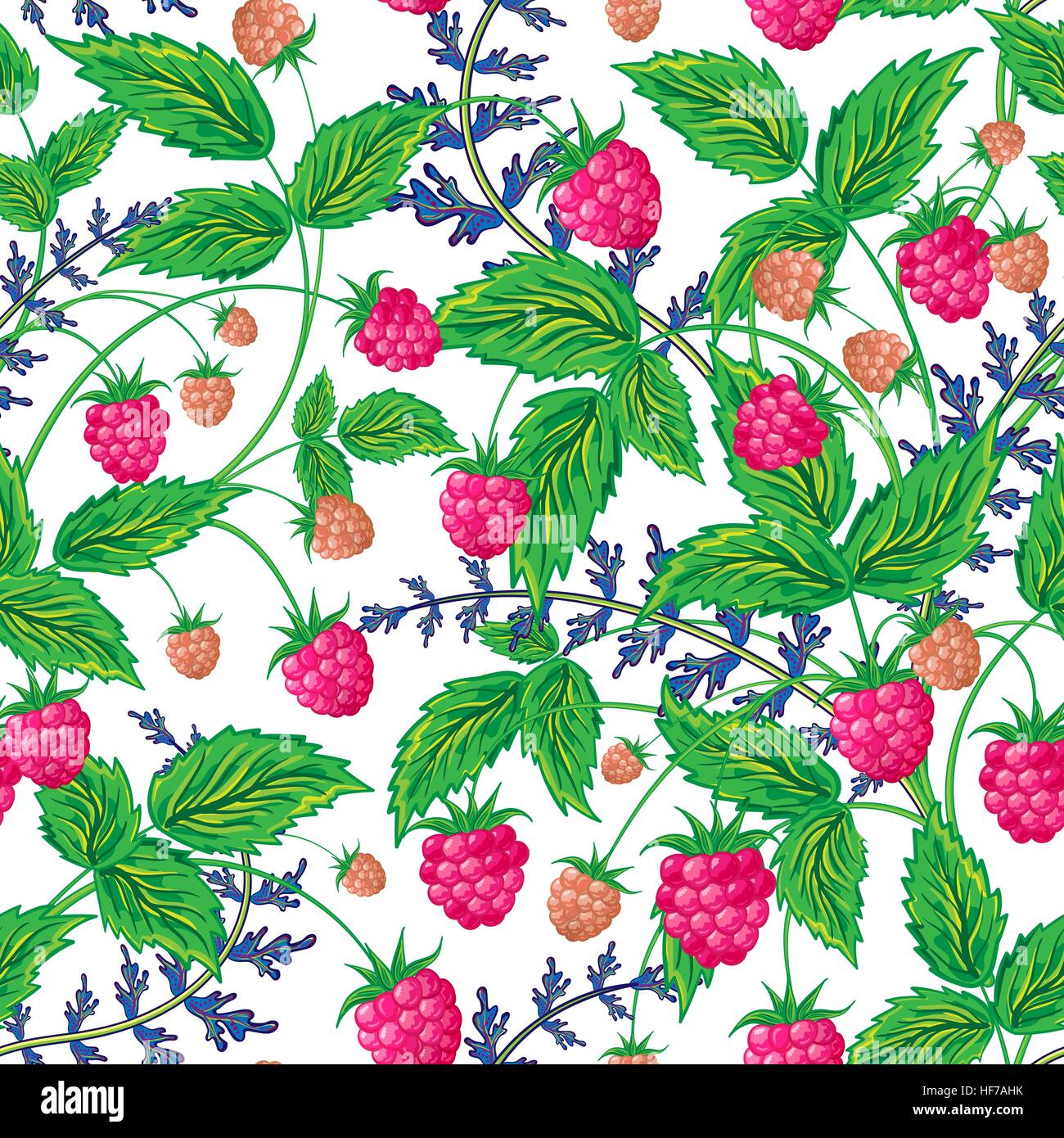 Raspberries seamless pattern with raspberry and leaves on white ...