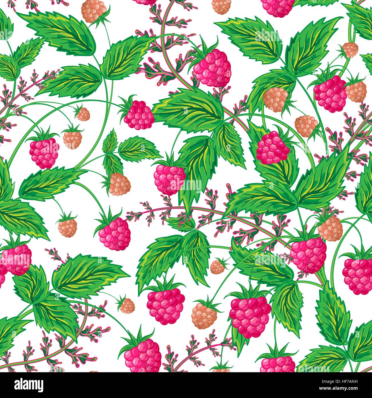 Colored raspberries seamless pattern. Seamless pattern with colored ...