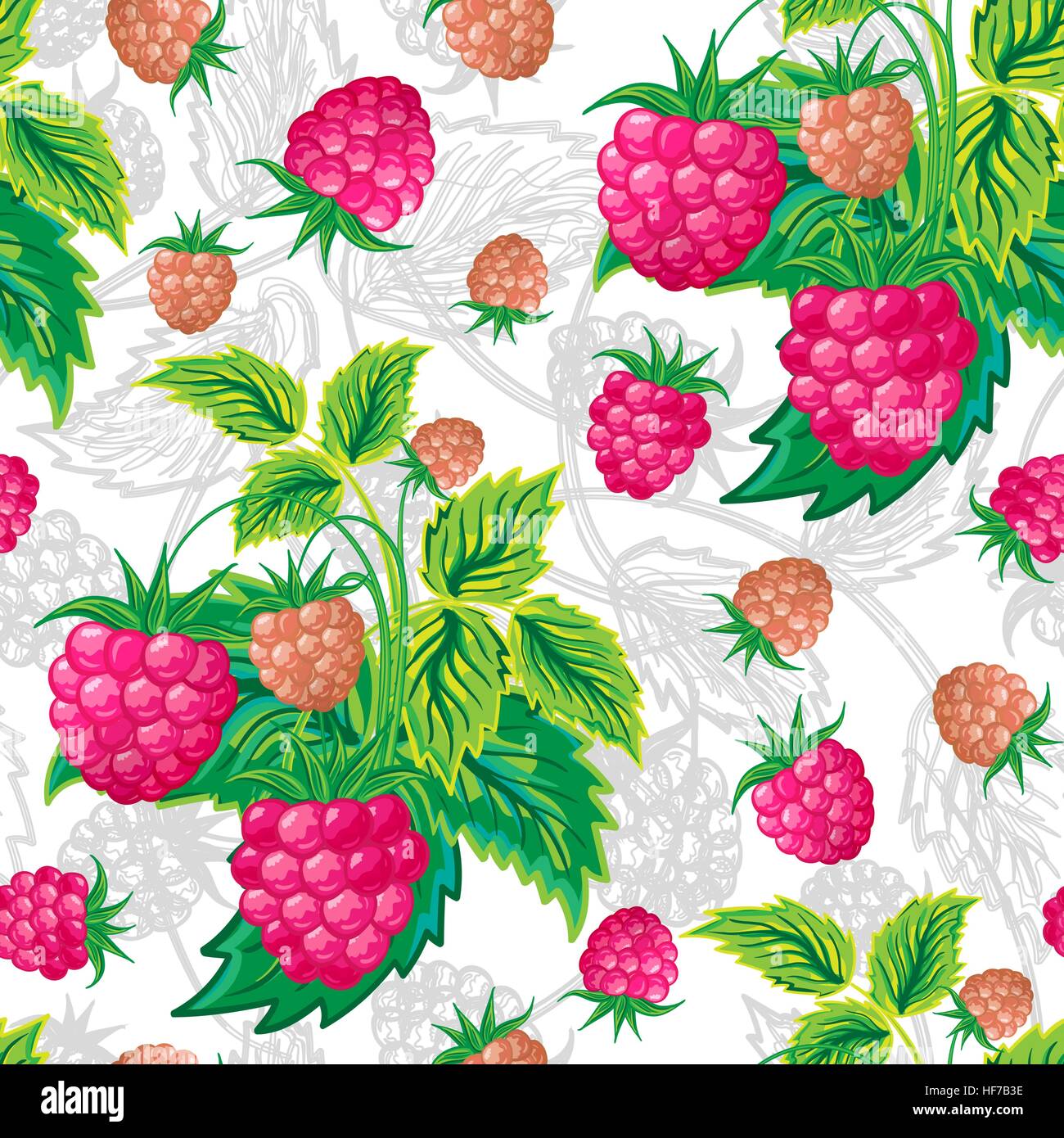 vector illustration. Classic colorful seamless pattern of raspberries ...