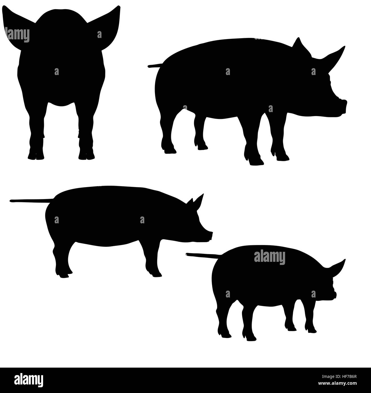 EPS 10 vector illustration of pig on white background Stock Vector ...