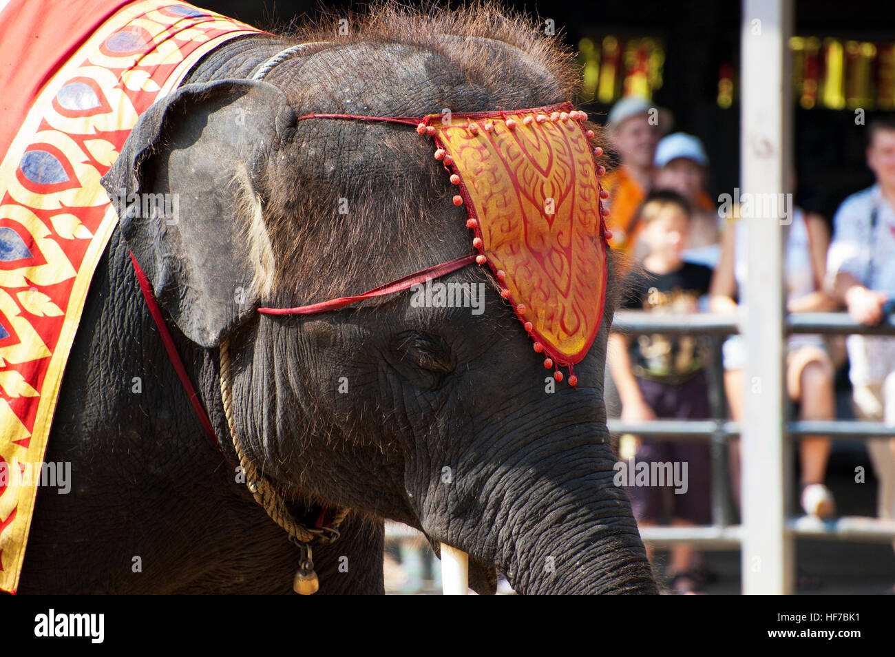 Presentation speech photos hi-res stock photography and images - Alamy