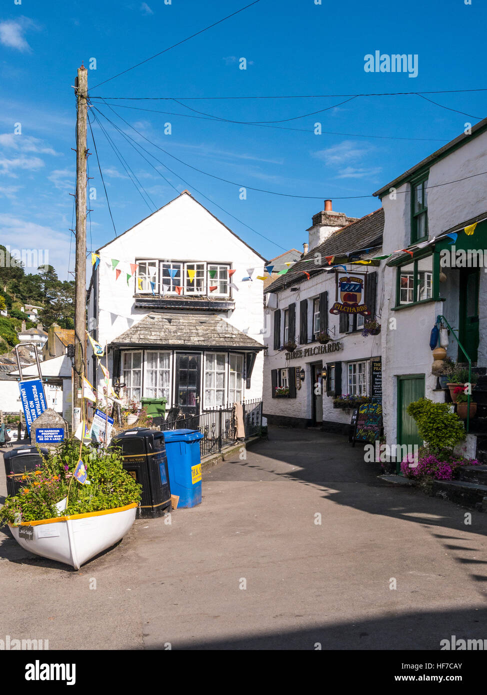 Three pilchards polperro hi-res stock photography and images - Alamy