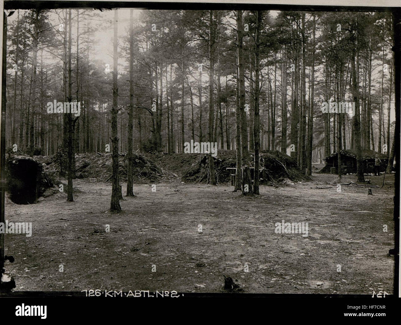 A Russian Cossack camp in the Demba forest during World War I, captured ...
