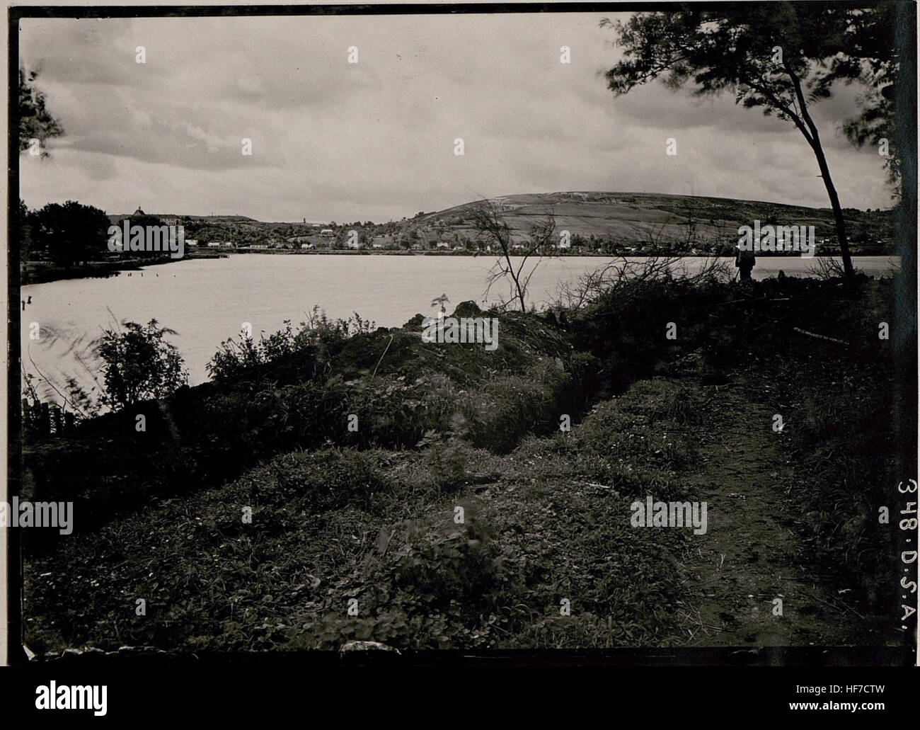 Zlota lipa lake hi-res stock photography and images - Alamy