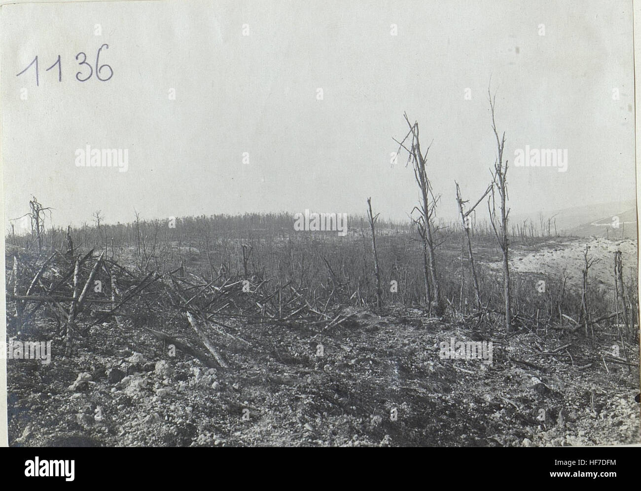 A photograph of a shell-scarred hilltop in Lysonia, taken during World ...