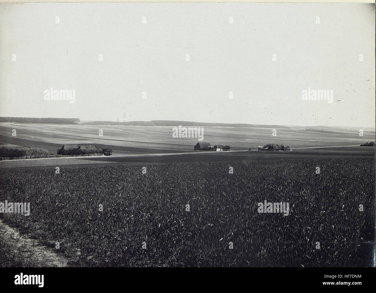 An image from Kriegsalbum 108, showcasing military scenes from World ...