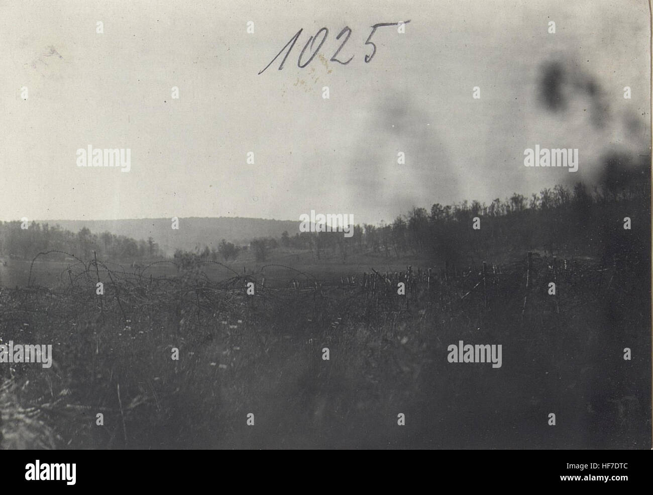 View from the position of Turkish Infantry Regiment 62 towards Russian ...