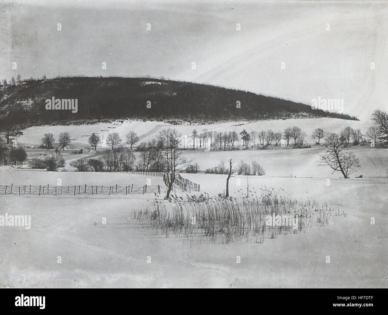 Kriegsalbum 108, Bild 33398 15728105 Stock Photo - Alamy