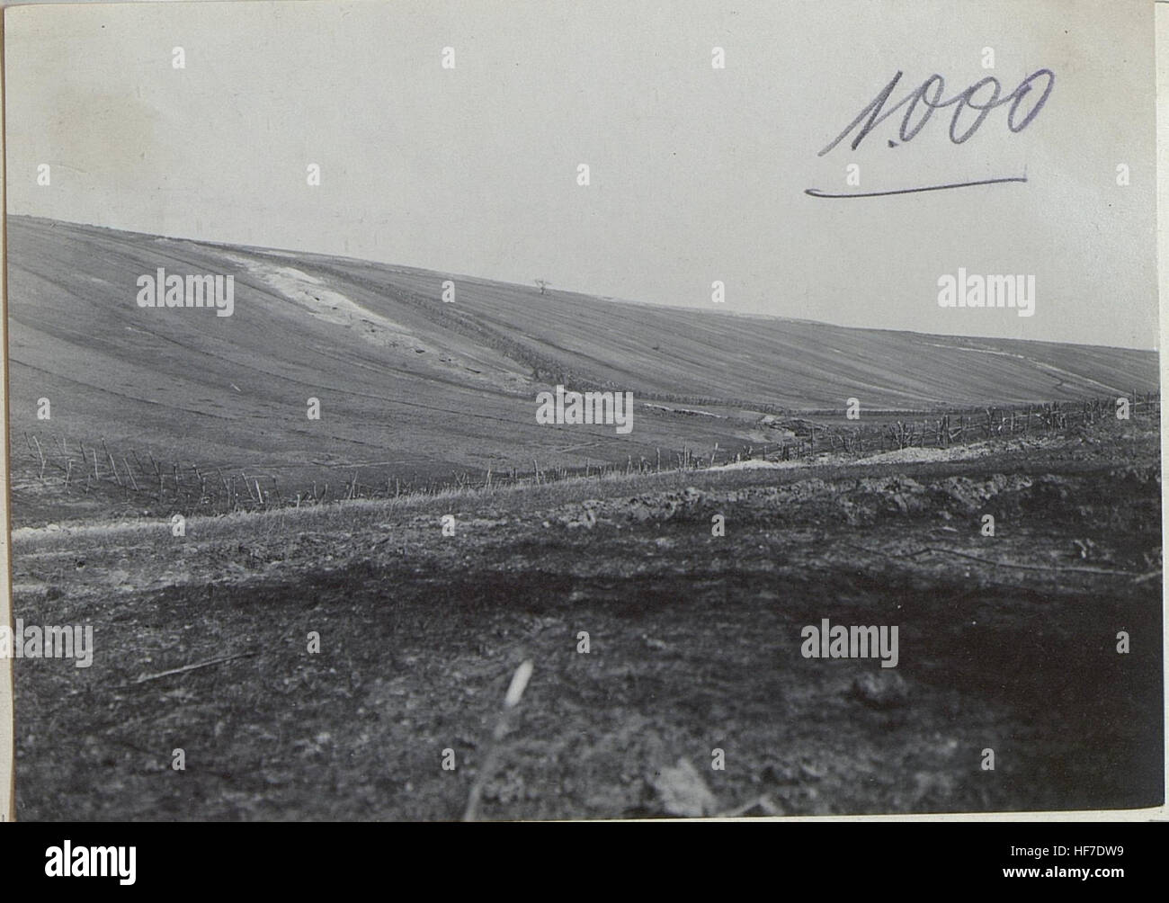View of Turkish and Russian positions south of Brzezany, World War I ...