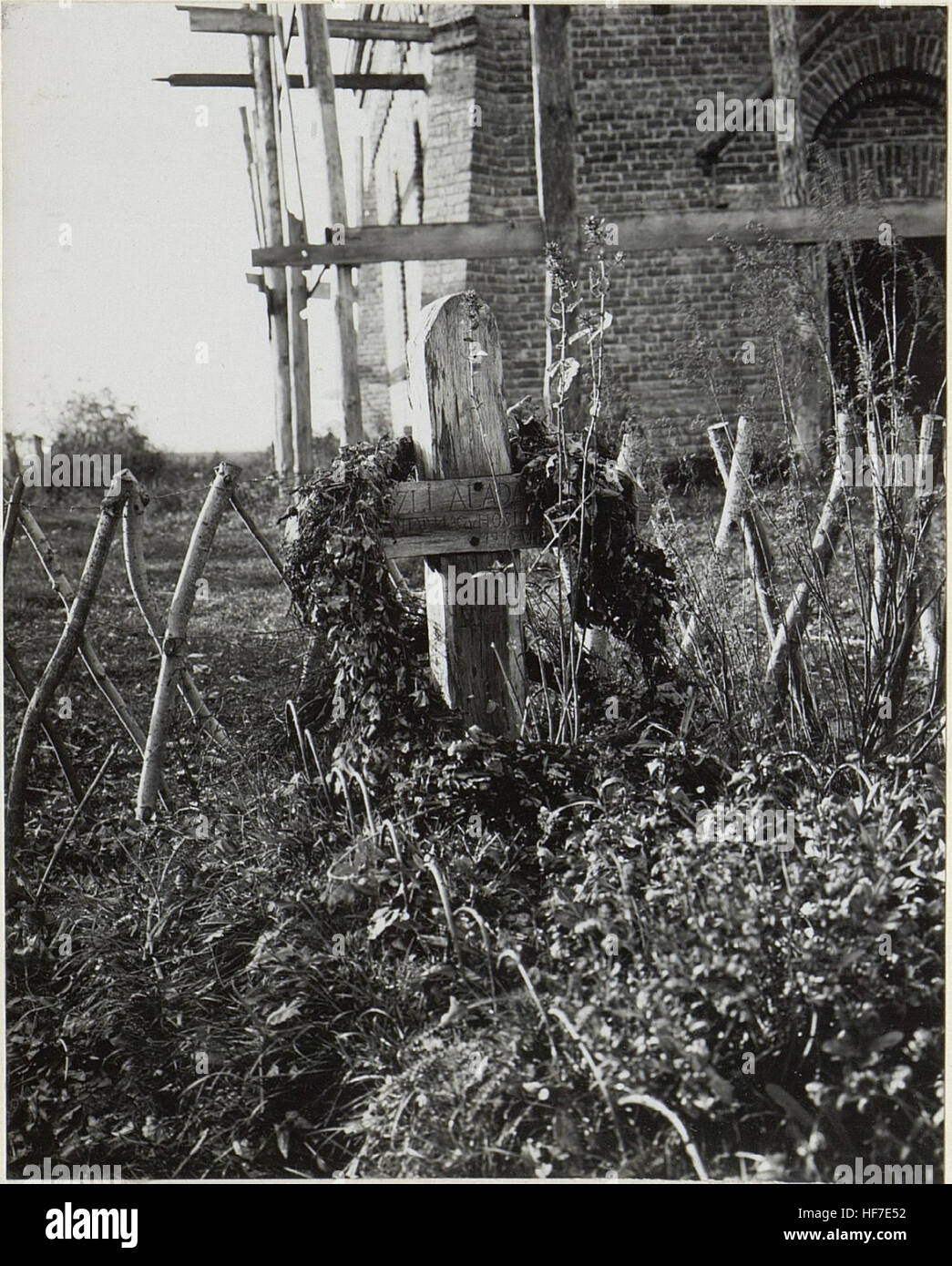 A photograph from War Album 108, Image 33220, showing a battlefield ...
