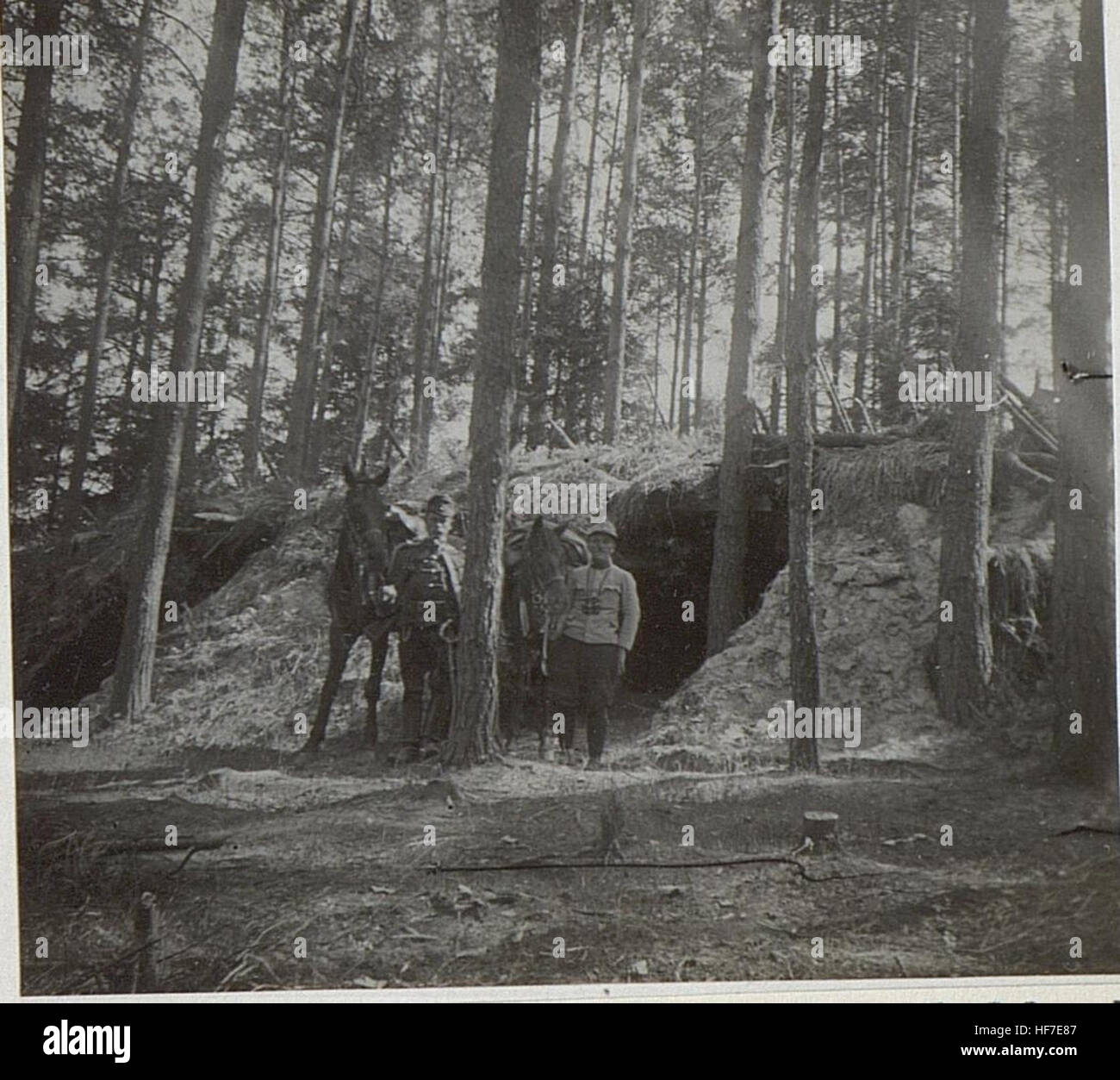 A photograph showing stables for horses at the forest edge west of ...
