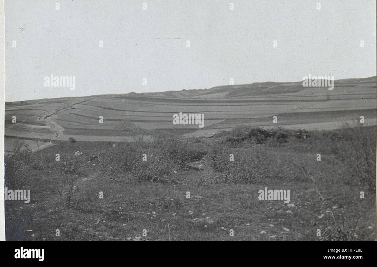 Trench at elevation 446, east of Beblo, view towards Czajowice, Second ...