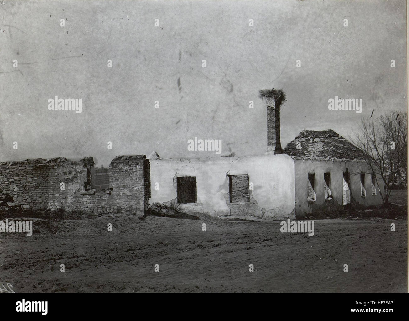 A wartime photograph of destroyed houses in Motkowitza, with a stork’s ...