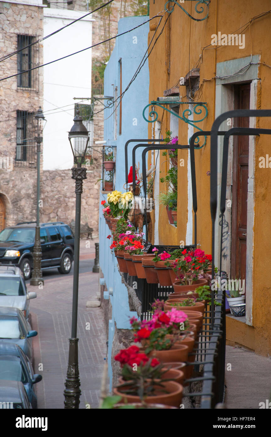 Planters box hi-res stock photography and images - Alamy