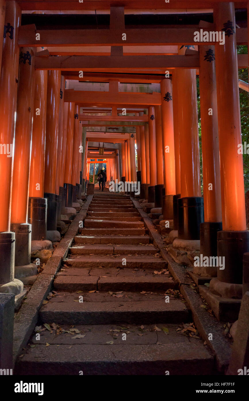 Torii pathway walkway hi-res stock photography and images - Alamy