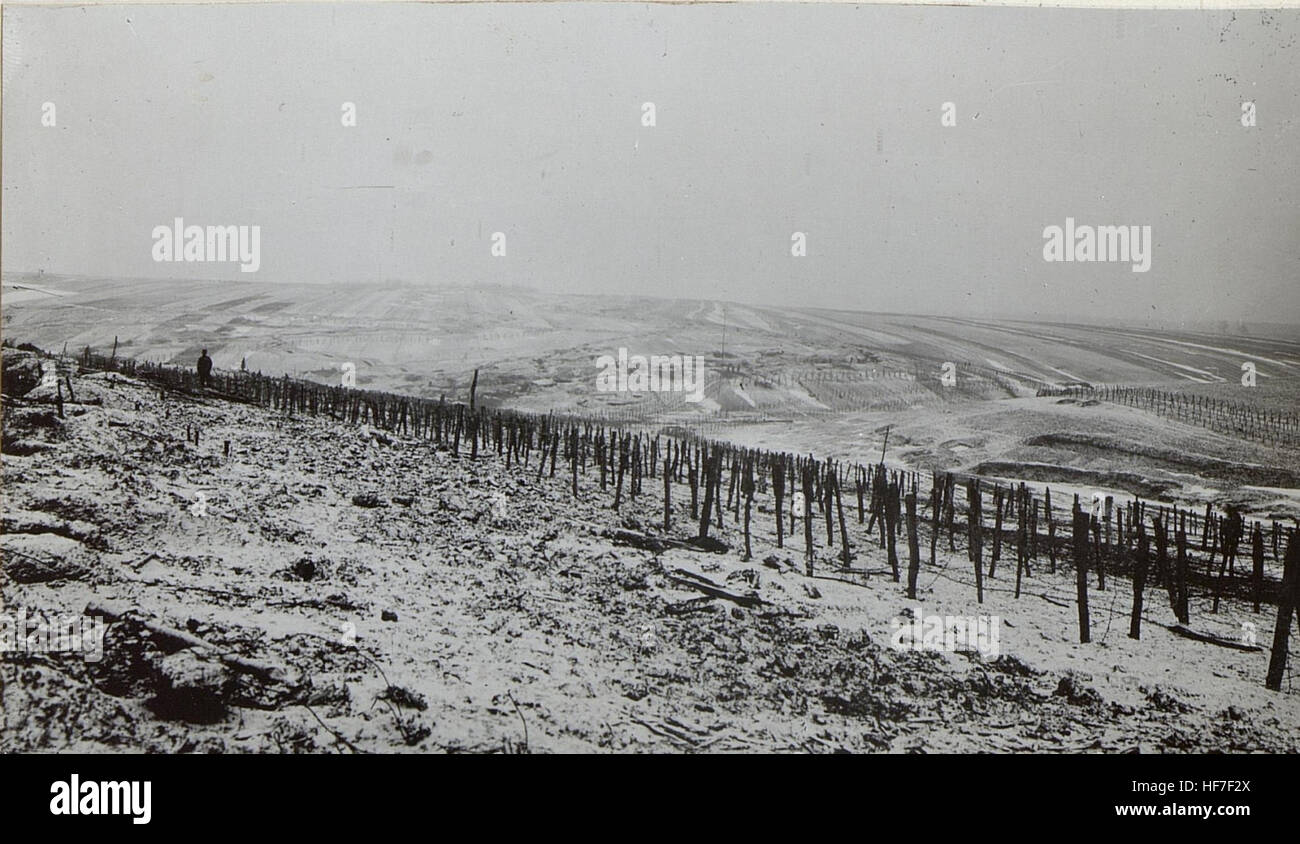 A photograph from World War I album 106, showing a scene from the 2nd ...