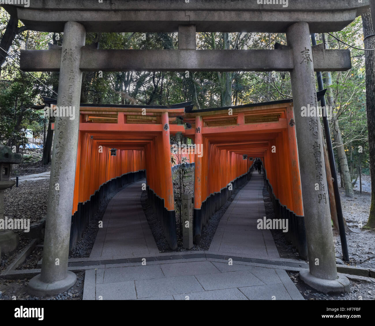 Double colonnade of torii gates leading up Inari Mountain at Fushimi ...