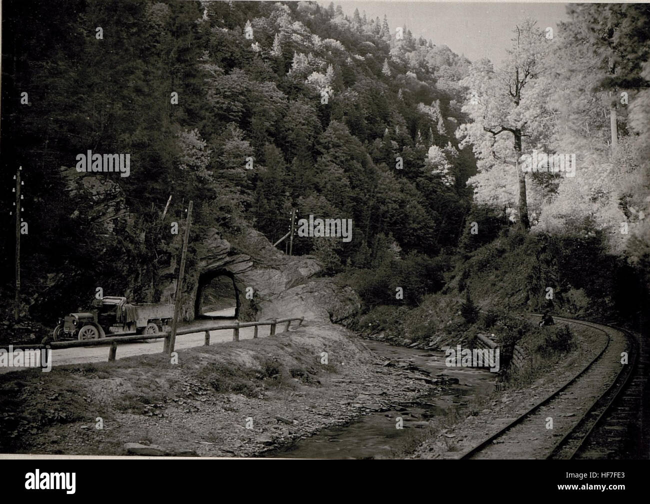 A historical photograph of a rotunda located in Kirlibaba during World ...