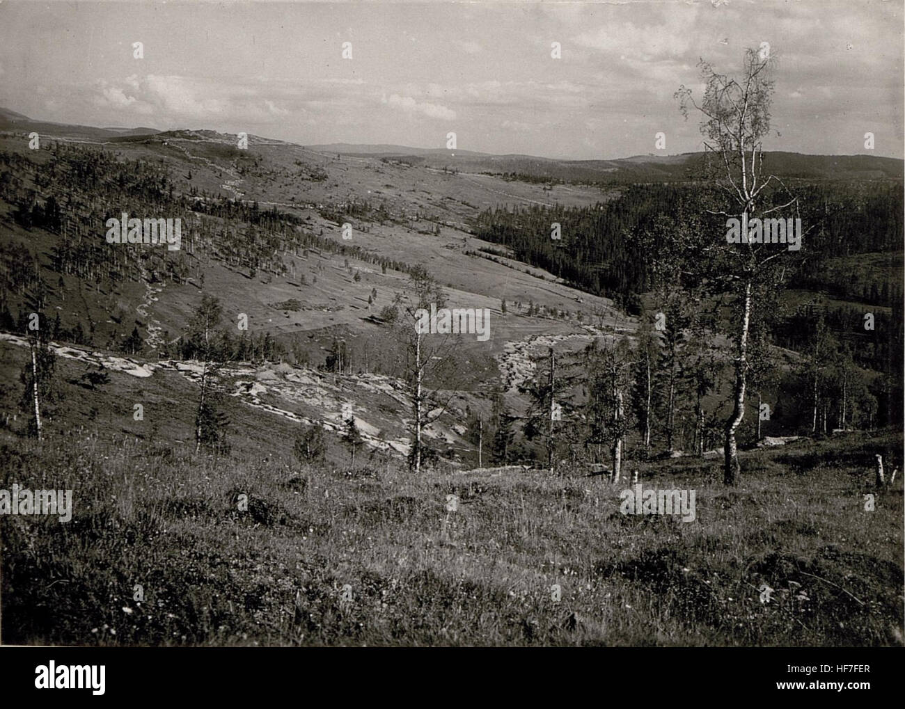 This historical artwork from World War I depicts military cartography ...