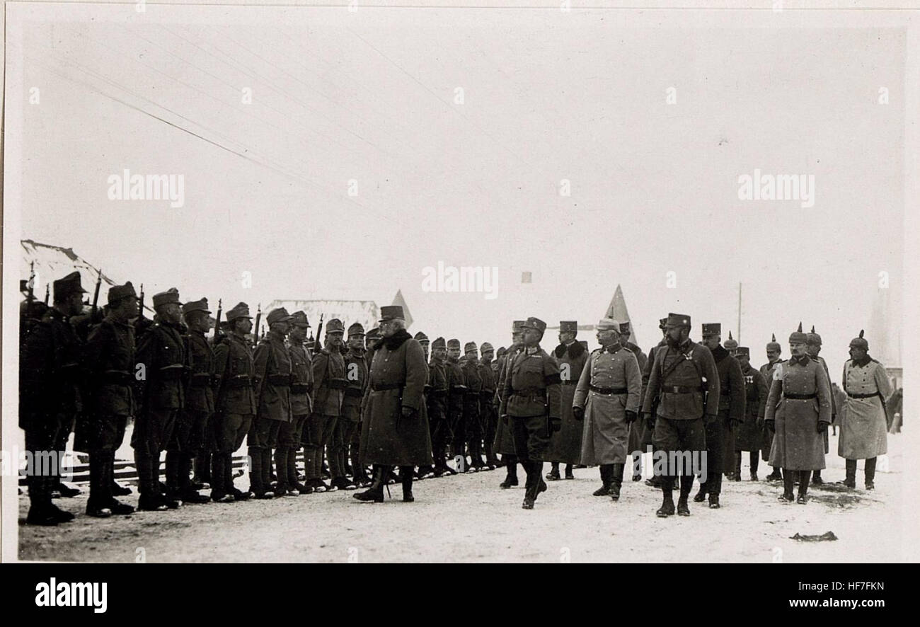 This historical photograph shows a military inspection during World War ...
