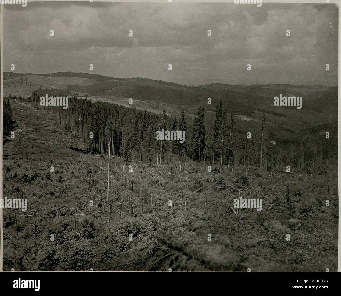 A historical photograph of Mestiecanescie und Valeputna during World ...