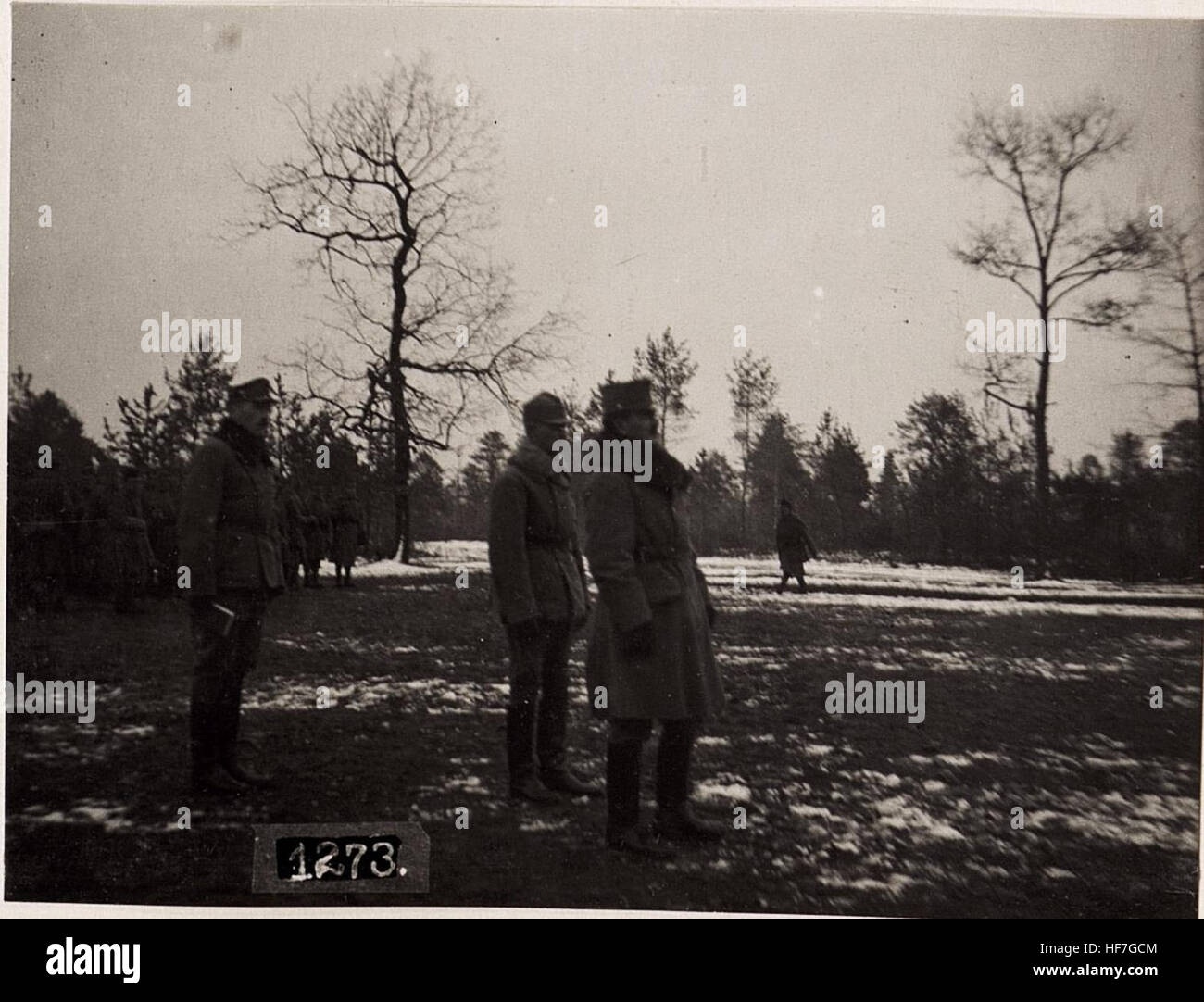 This photograph depicts a military inspection of the 2nd, 3rd, and 4th ...