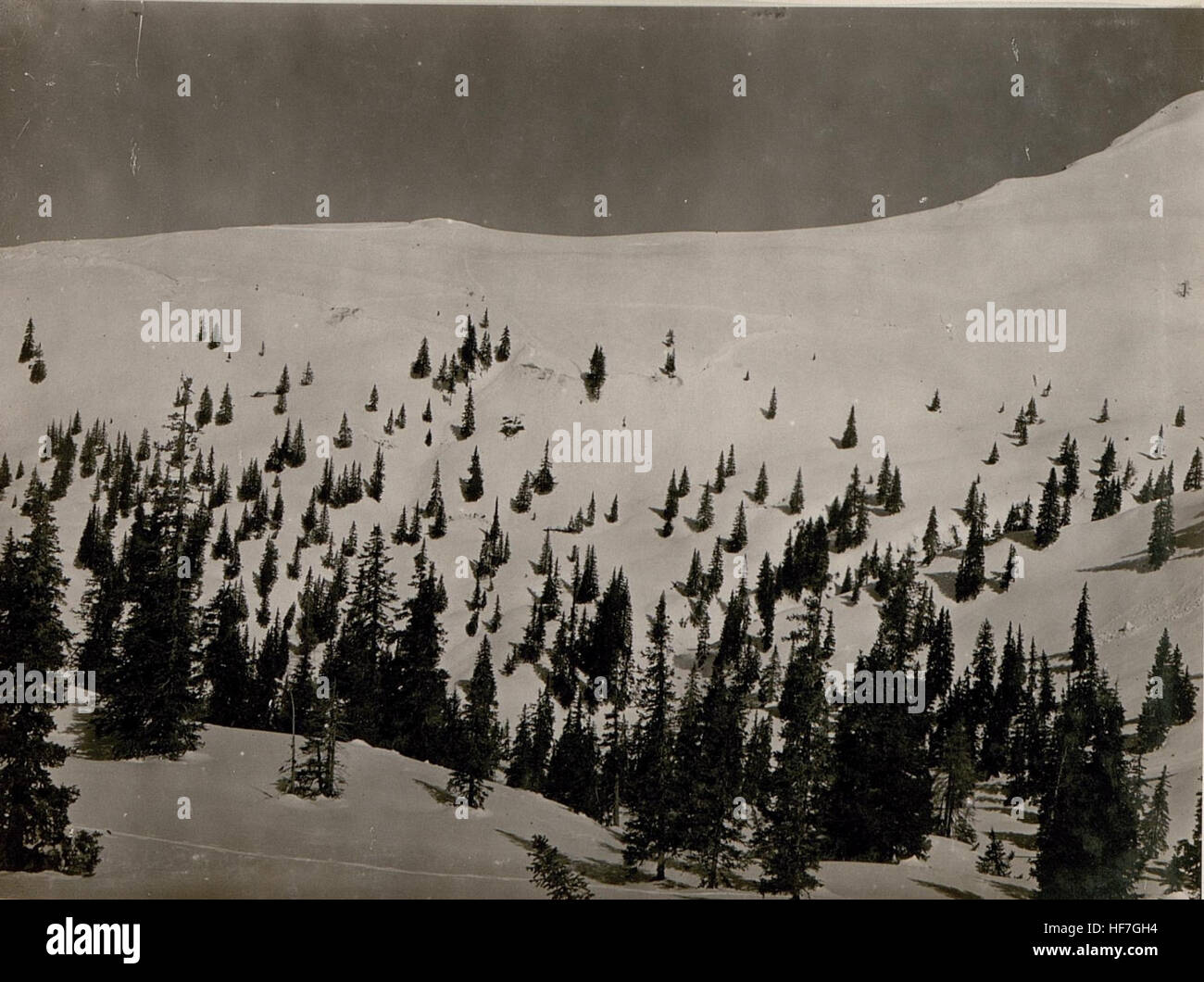 This photograph from April 24, 1917, shows a view of the slopes of ...