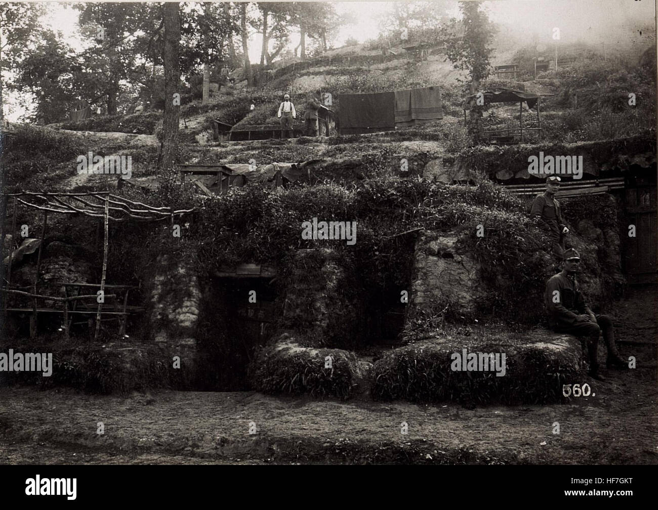 This historical record from World War I depicts a unit from the 1st ...