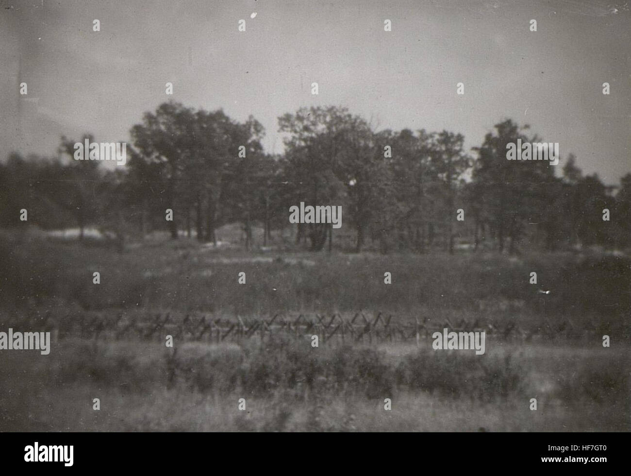 This artwork depicts a scene featuring a group of trees to the east of ...