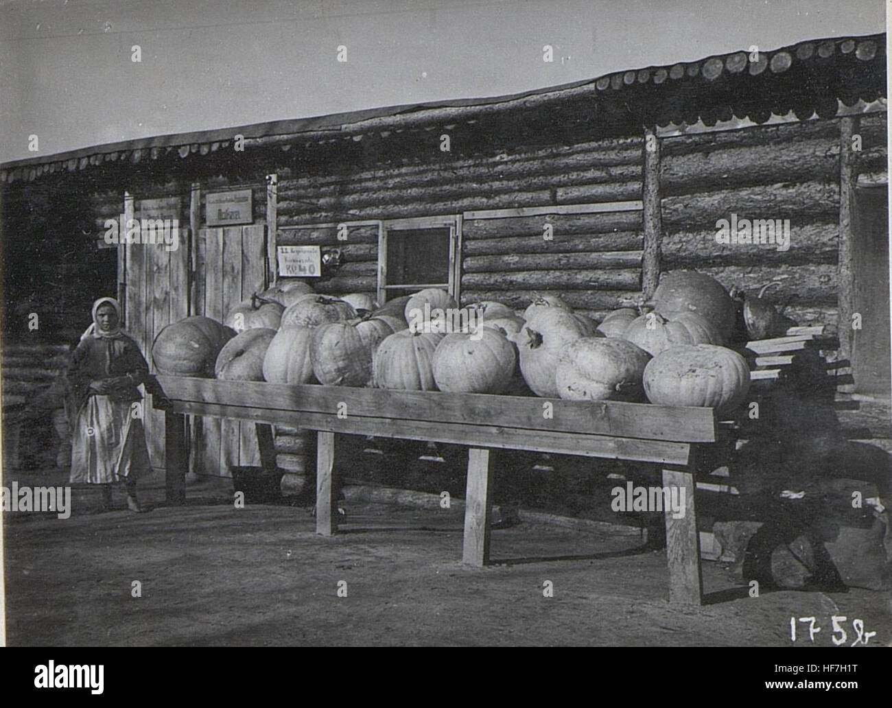 This image depicts the harvesting of crops during World War I, under ...