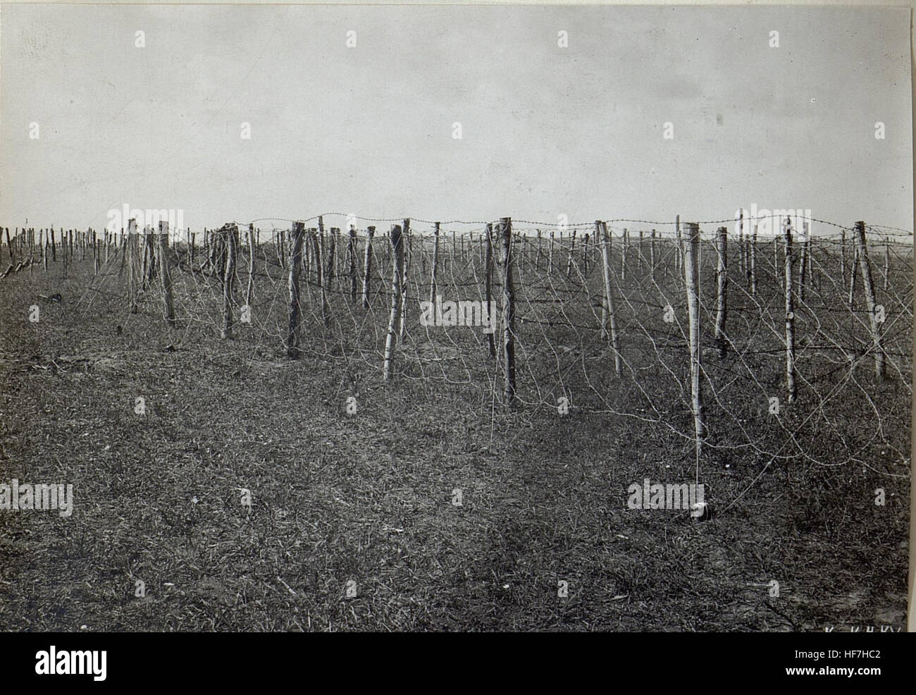 This image depicts a barbed wire obstacle from World War I, part of the ...