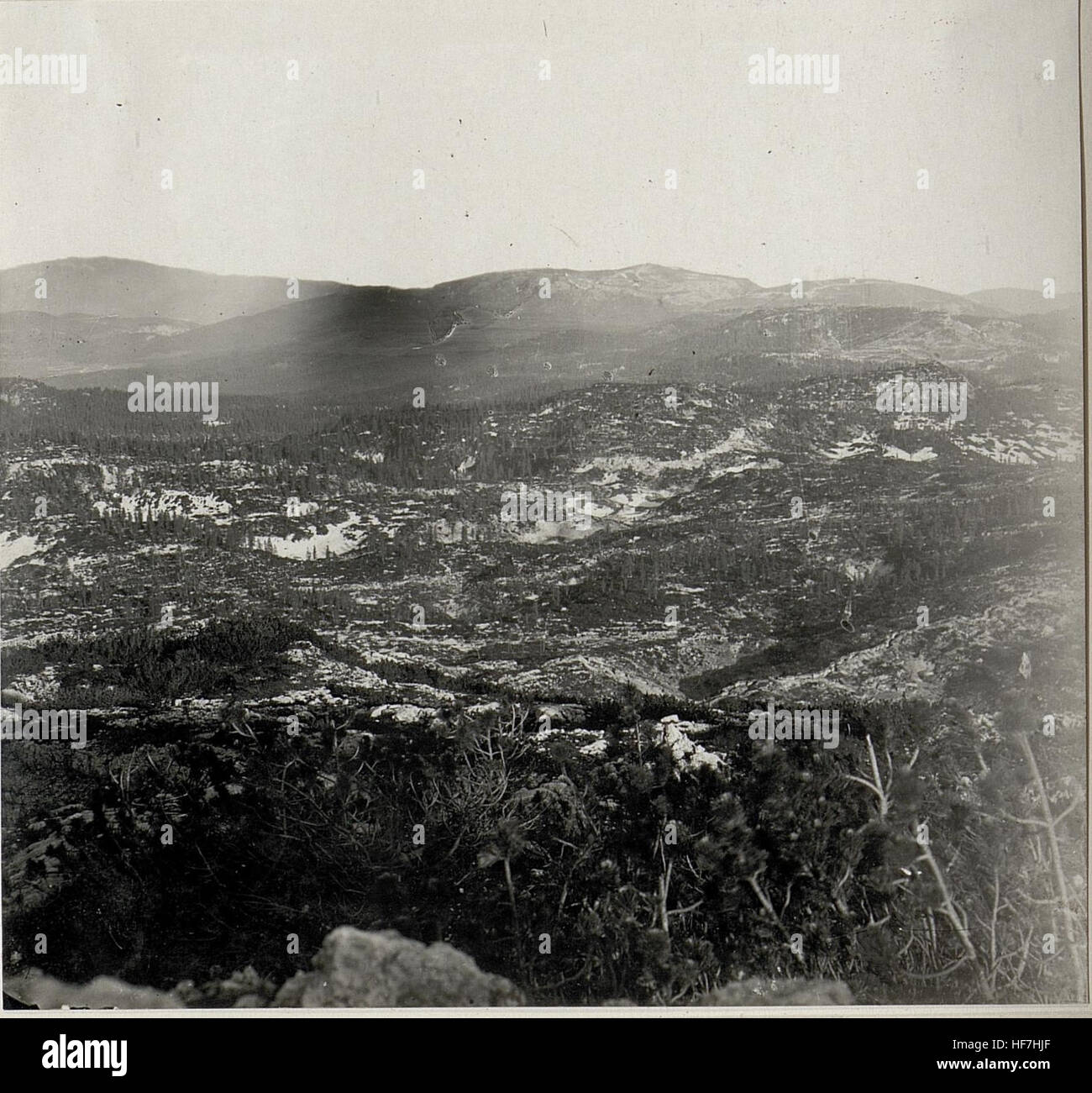 This panoramic painting from World War I depicts the view from Monte ...