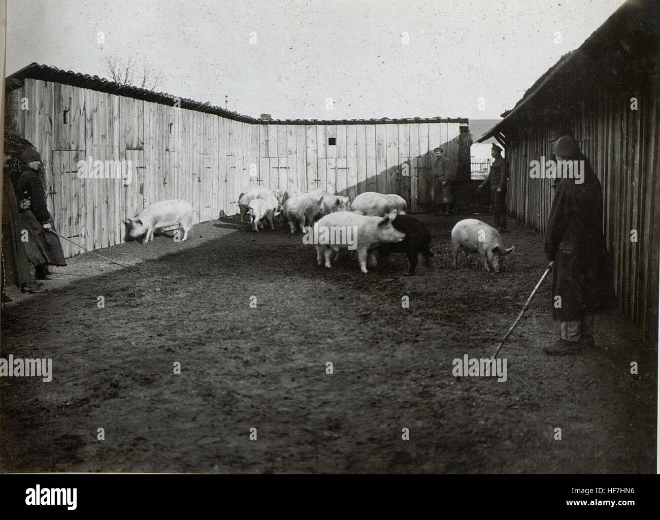 This image illustrates the infrastructure and factories along the ...