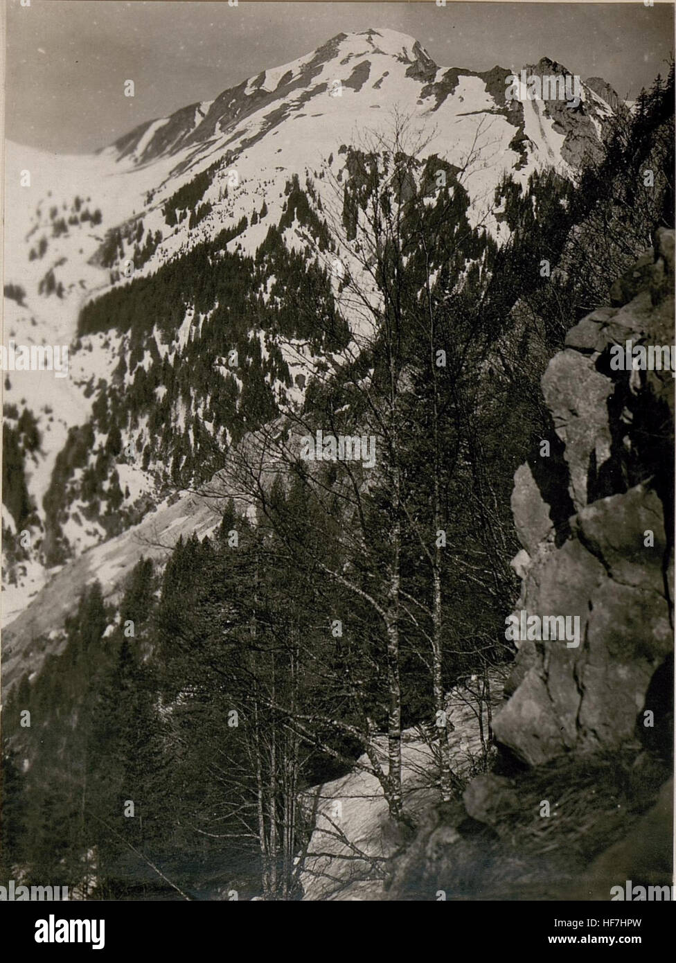 The image depicts a scene from World War I, emphasizing the dramatic events and the impact of ...