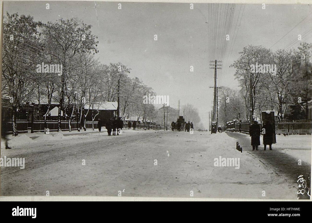 Photographs from the Eastern Front of World War I provide visual ...