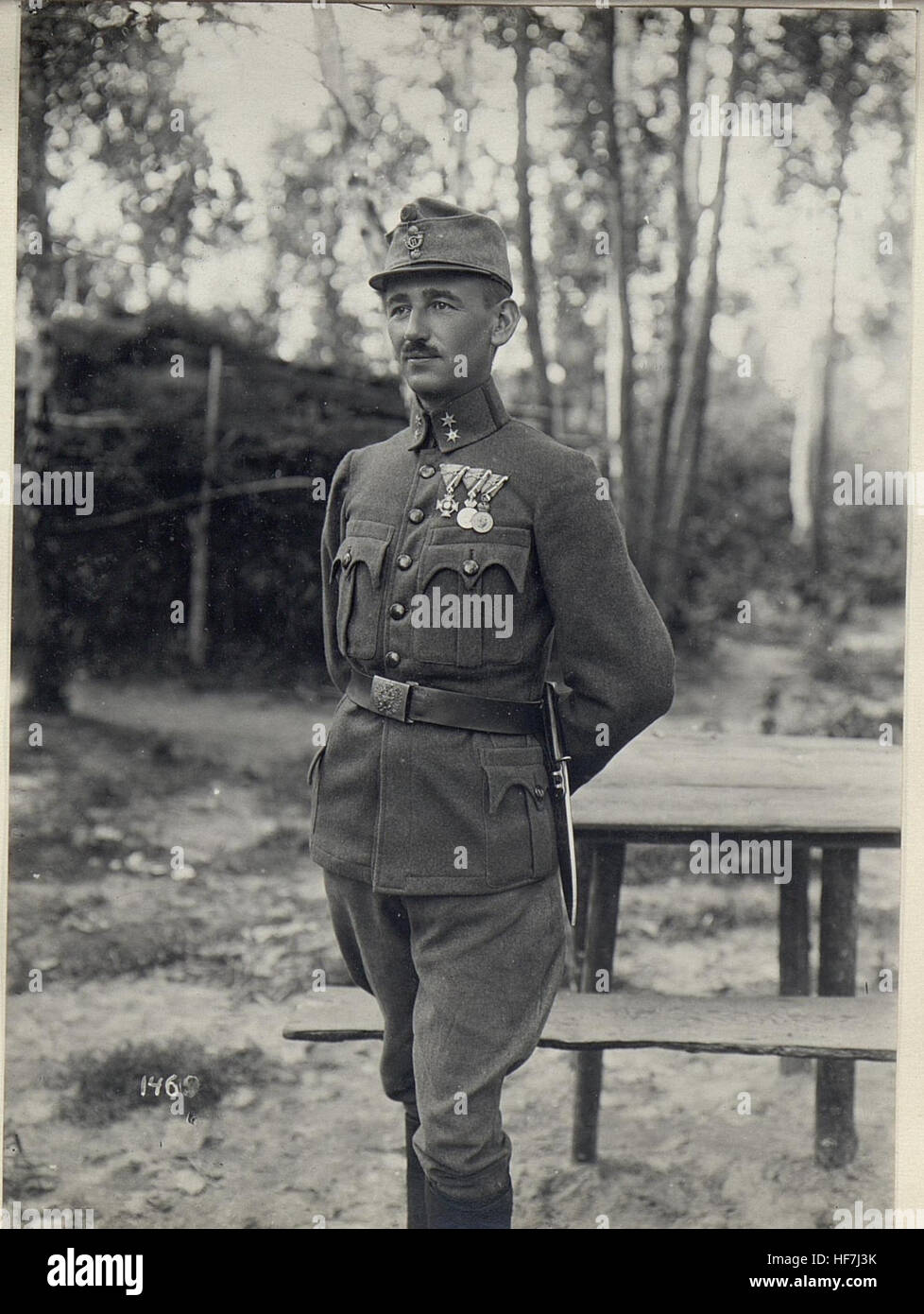 This set of portraits from the First World War depicts officers and ...