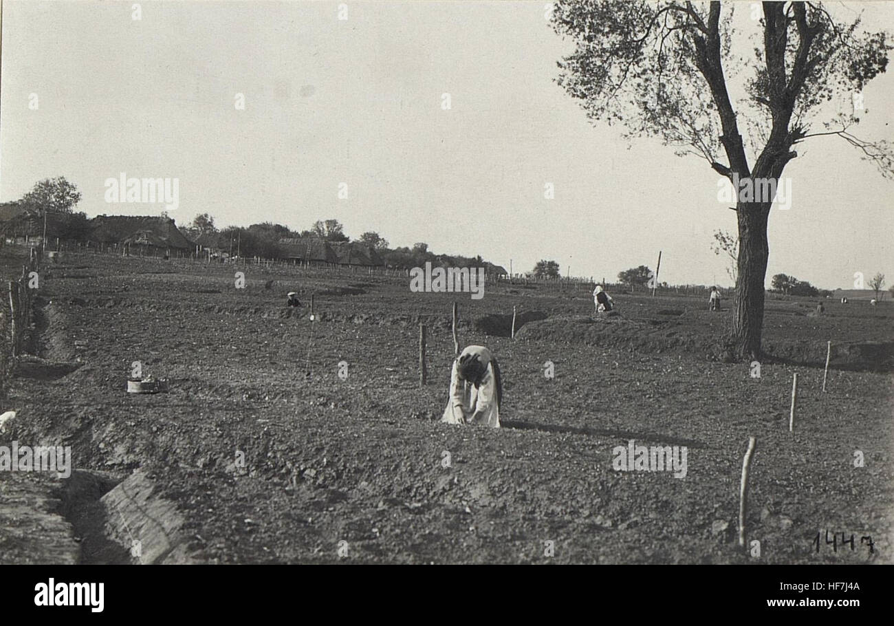 Warfront construction hi-res stock photography and images - Alamy