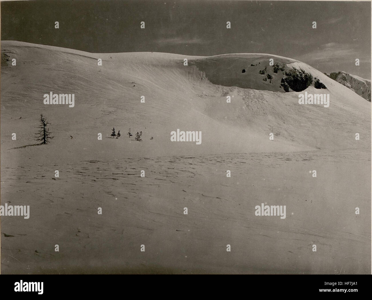 This image from the Europeana Collections shows a map or diagram ...