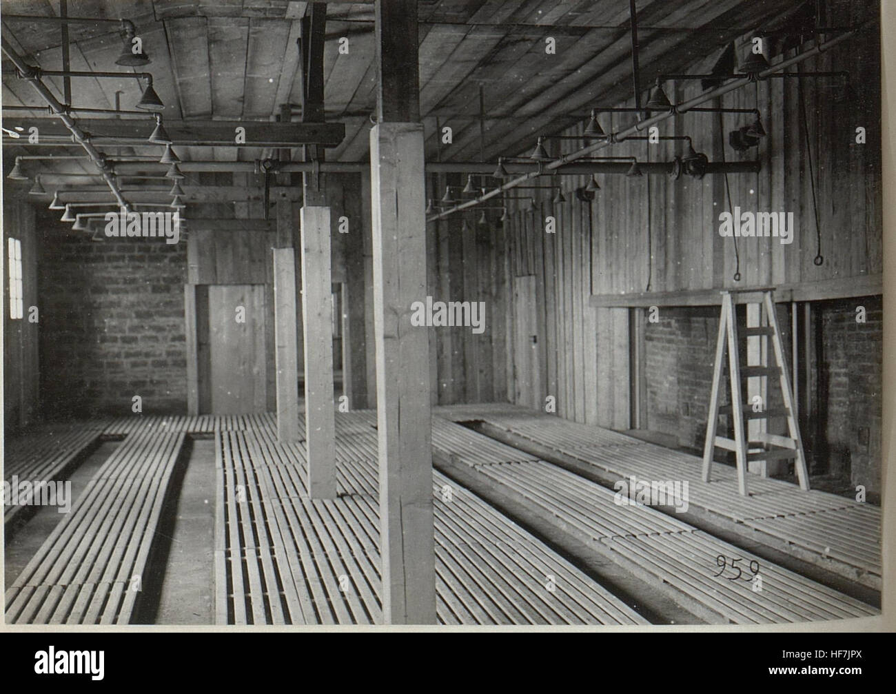 Delousing first world war hi-res stock photography and images - Alamy