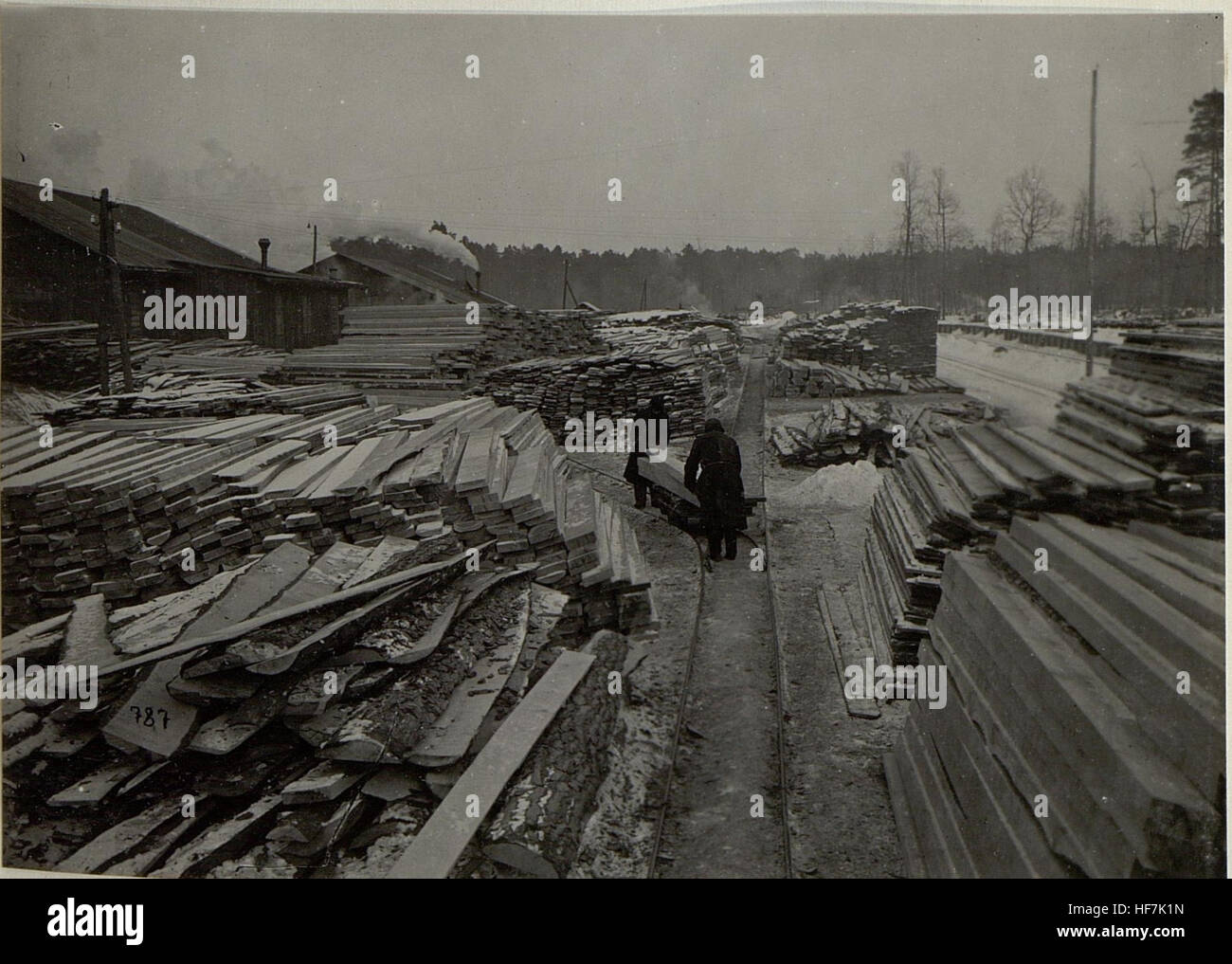 A historical document depicting wood processing in Galicia from 1568 to ...