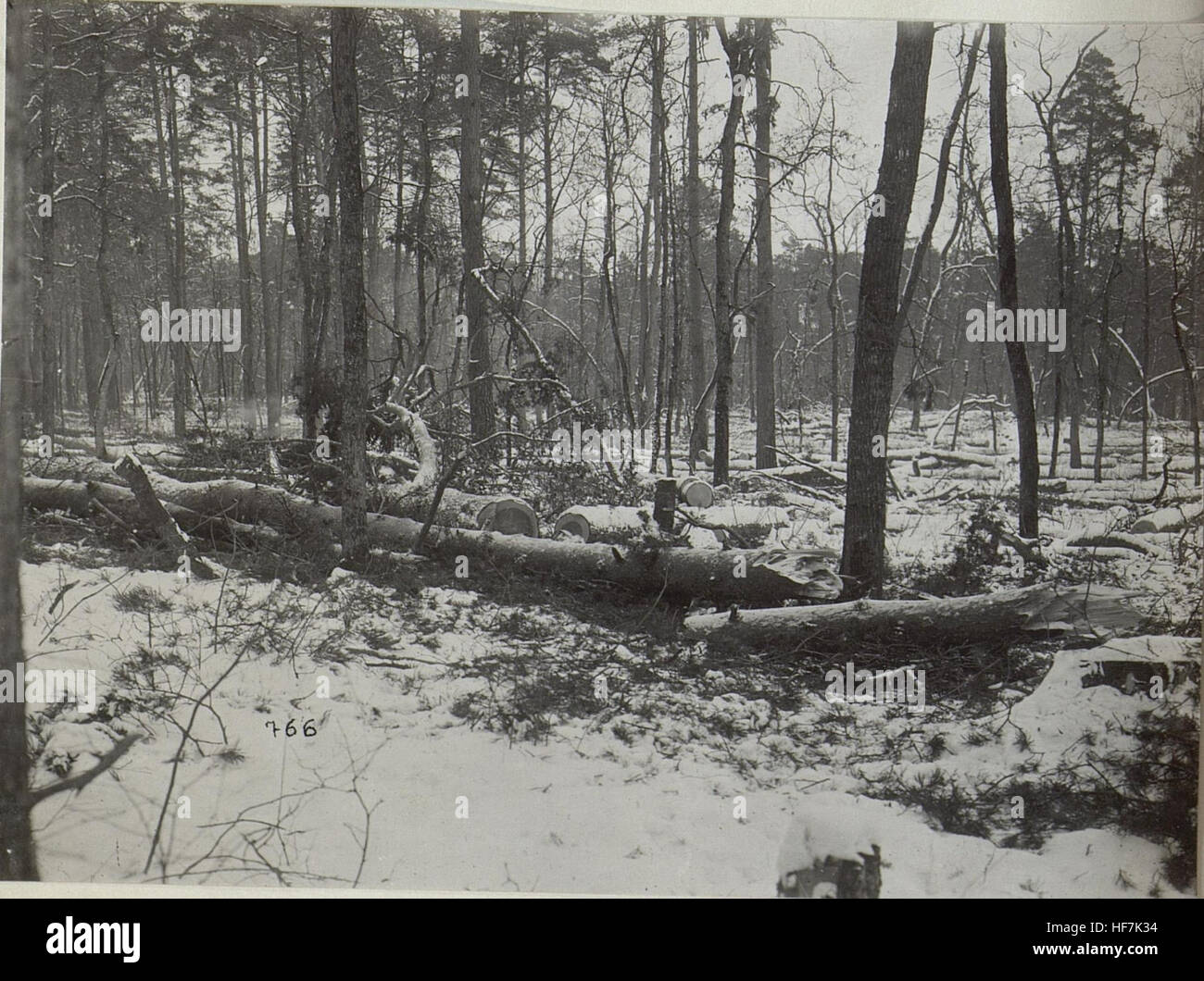 This historical image from the Europeana Collections shows woodworking ...