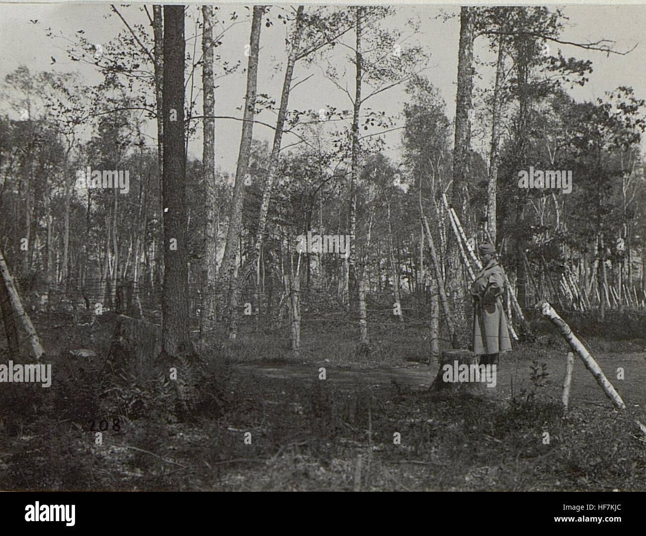 This artwork depicts a sentry on watch during World War I. *Stl ...