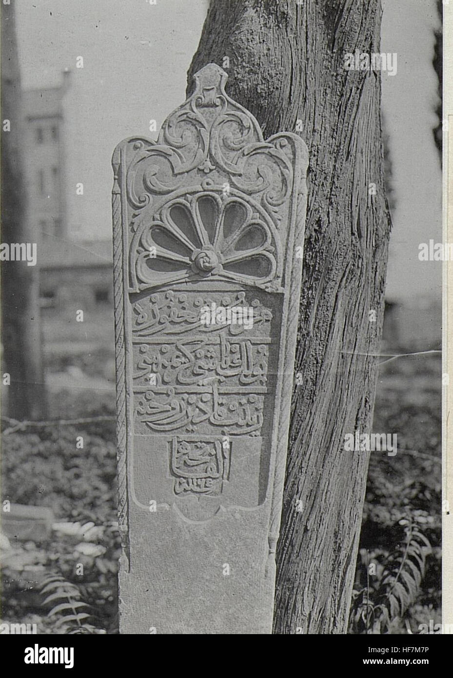 This image features Turkish gravestones from World War I, reflecting ...