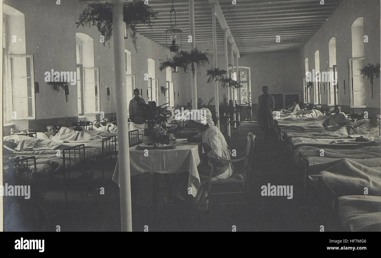 Typhus first world war hi-res stock photography and images - Alamy