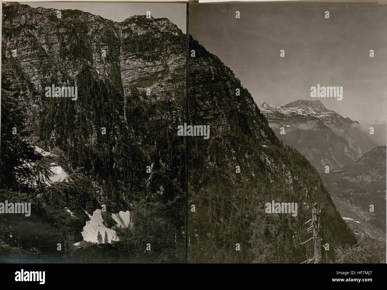 This historical World War I photograph shows a view from the German ...