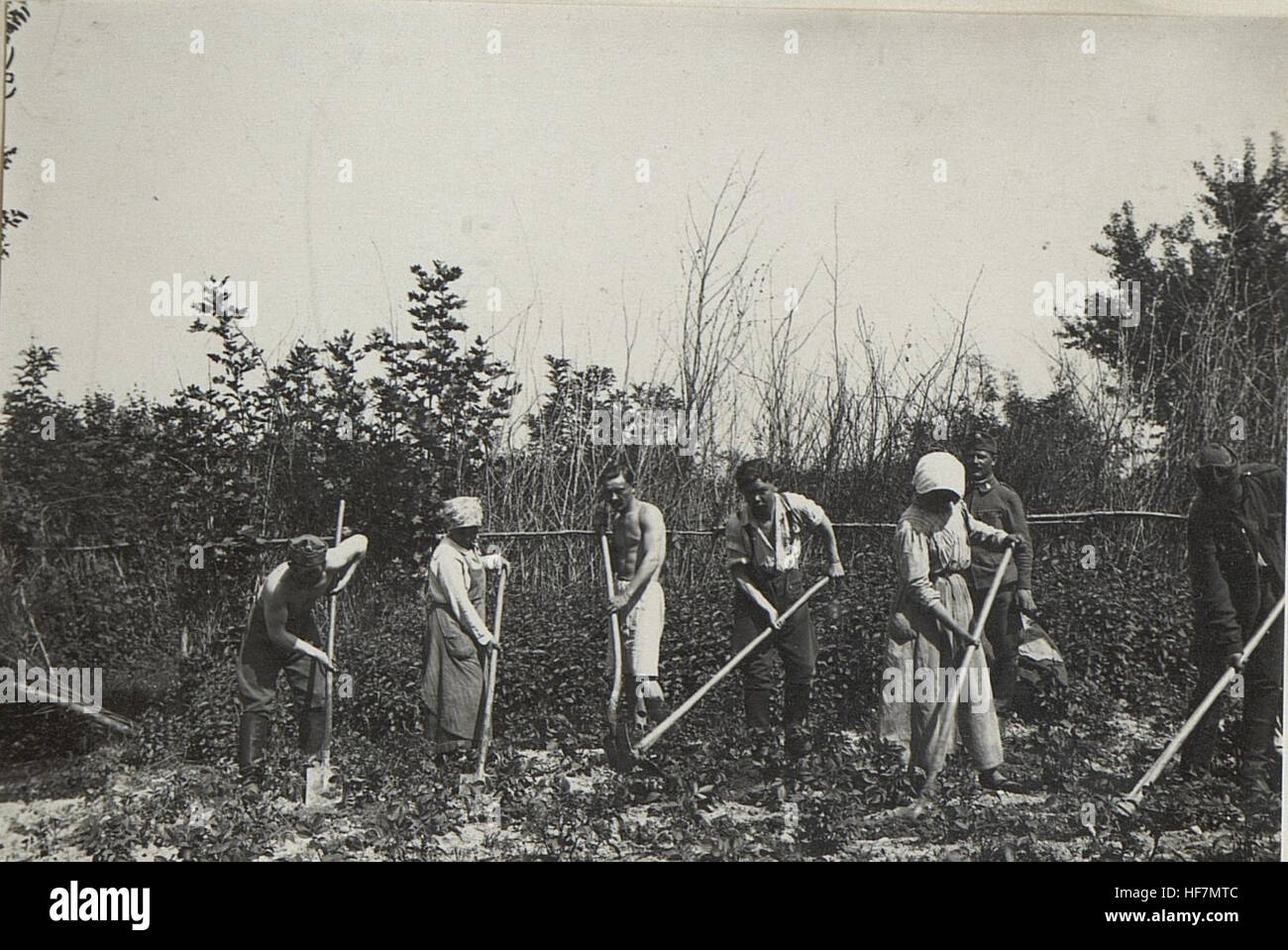 This image from the Europeana Collections illustrates World War I-era ...