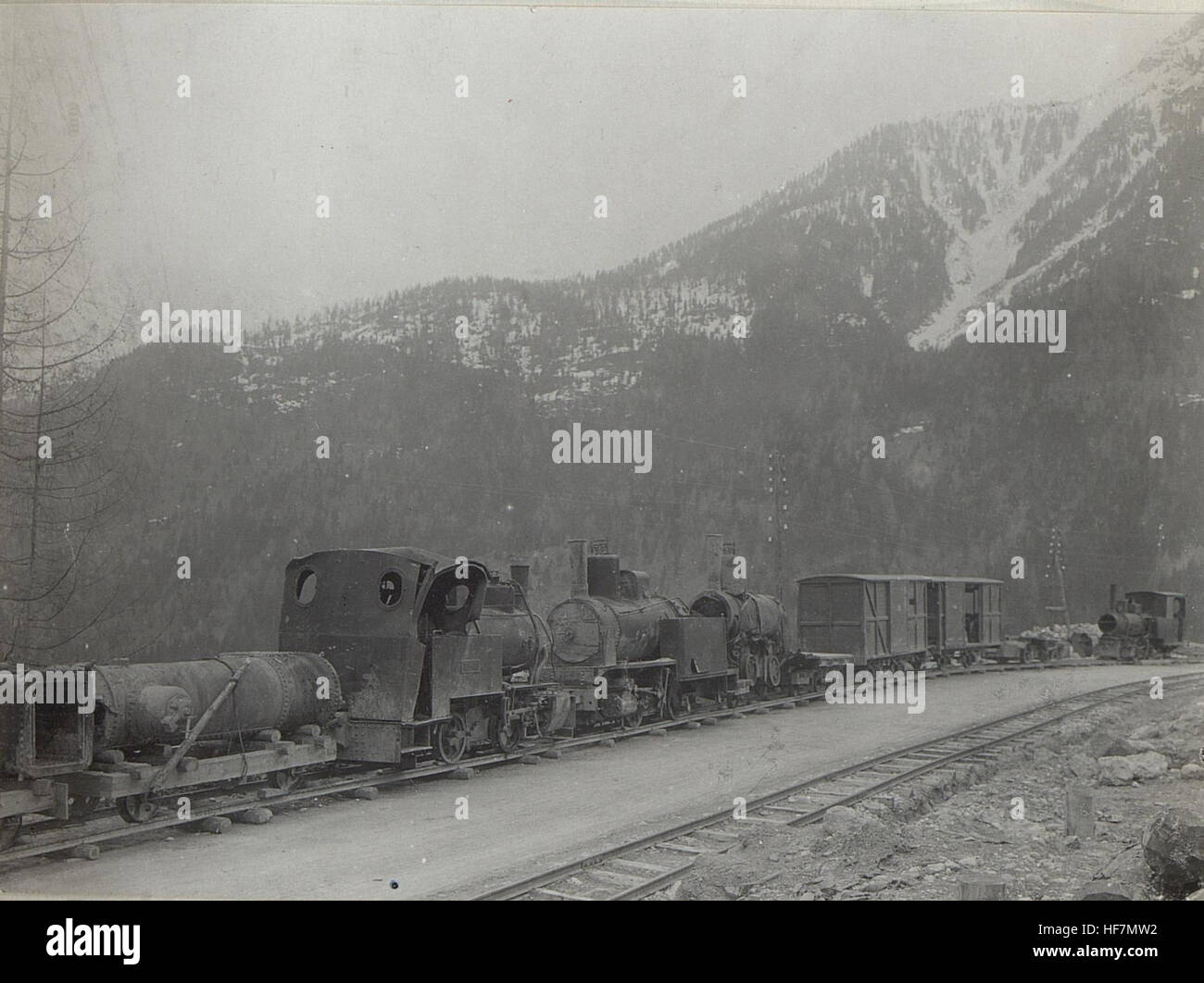 This image features a Peajo Italian Feldbahn (narrow-gauge railway ...