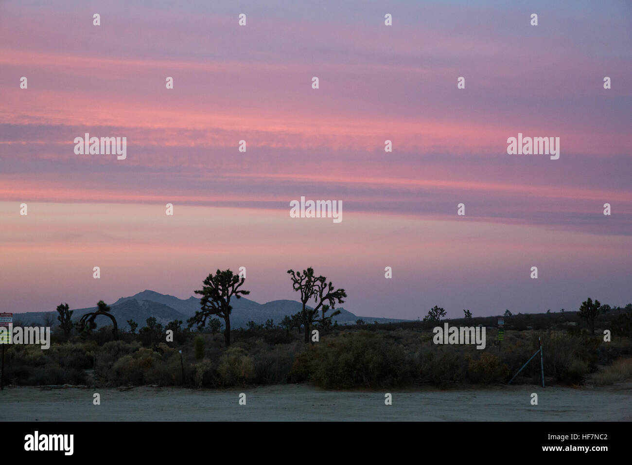 Beautiful desert sunsets hi-res stock photography and images - Alamy