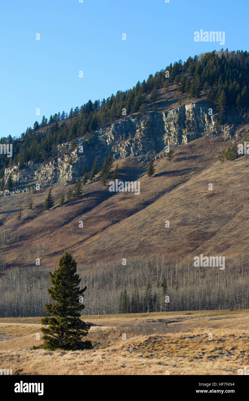 Landscape alberta foothills hi-res stock photography and images - Alamy